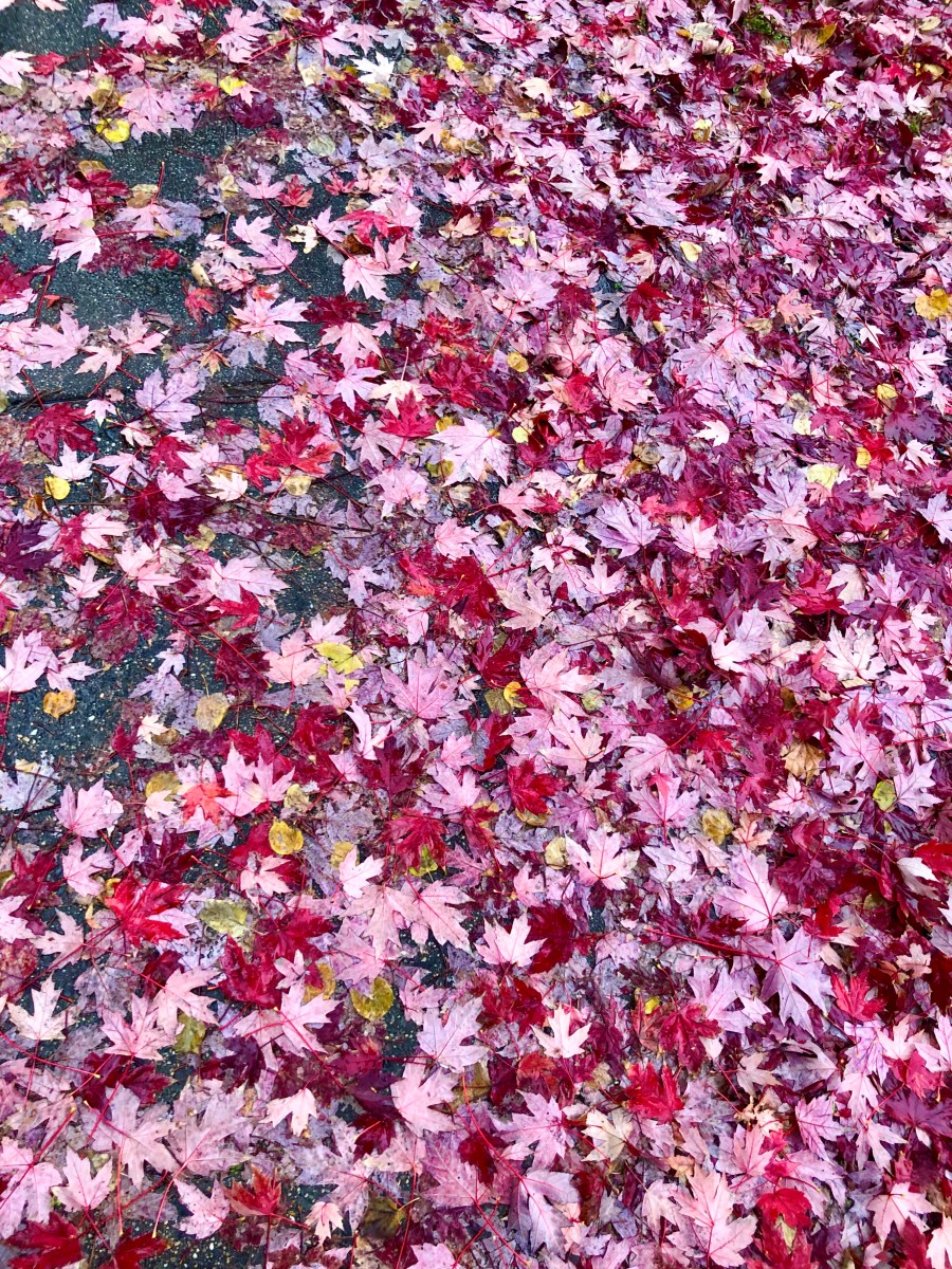 In Beautiful Discordant Colors | Too Human